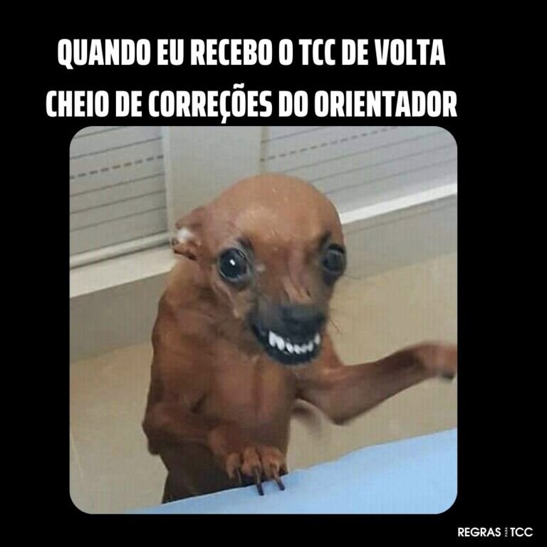 TCC meme: 34 imagens engraçadas para compartilhar