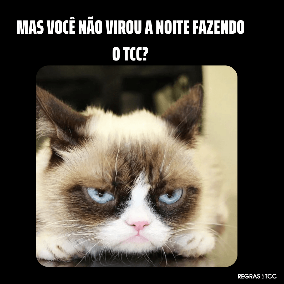 TCC meme: 34 imagens engraçadas para compartilhar