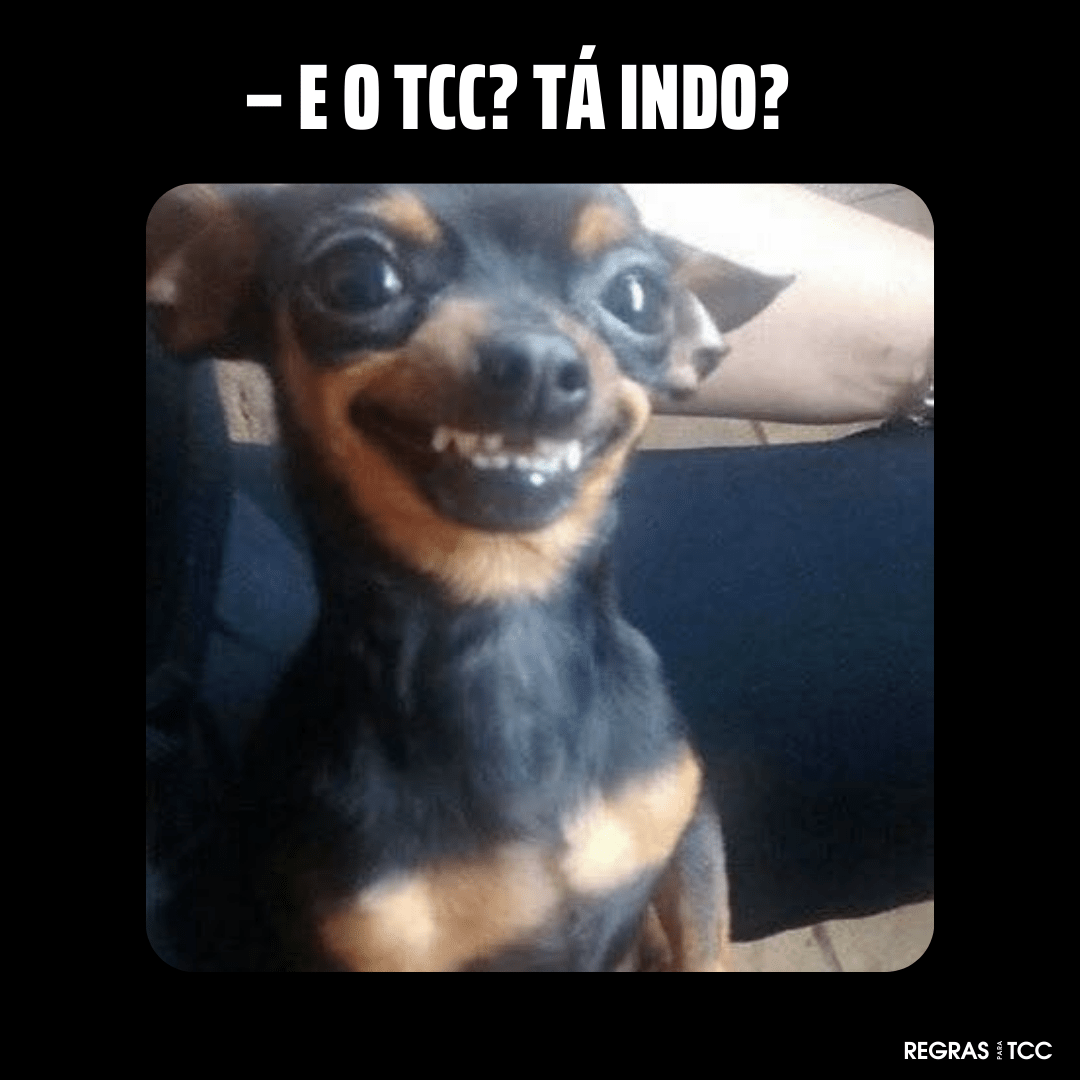 TCC meme: 34 imagens engraçadas para compartilhar