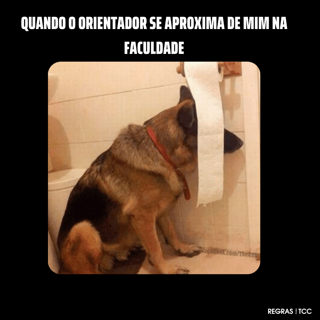 TCC meme: 34 imagens engraçadas para compartilhar