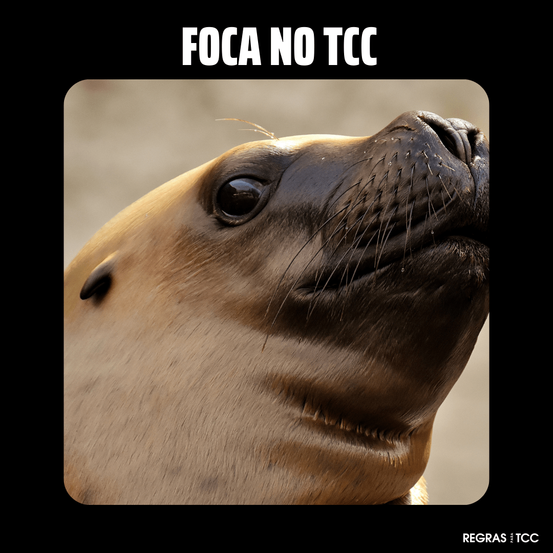 TCC meme: 34 imagens engraçadas para compartilhar